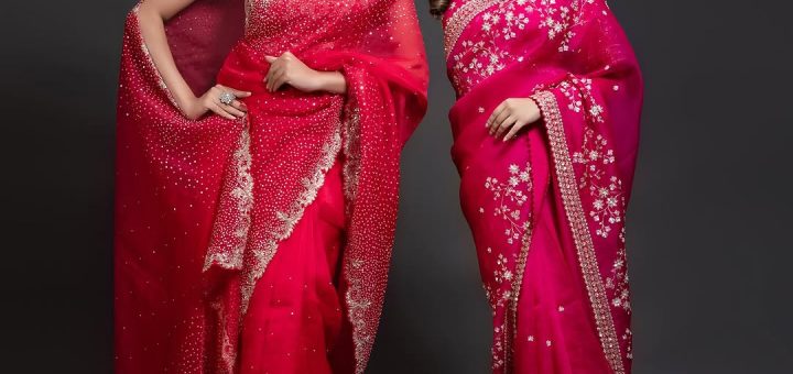 15 Traditional Indian Sarees & Their Timeless Elegance | Samyakk